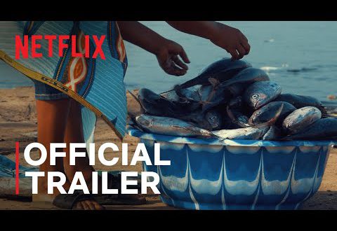 Seaspiracy | 2021 | 1hr 29 | Netflix | Documentary - GlobalGeek